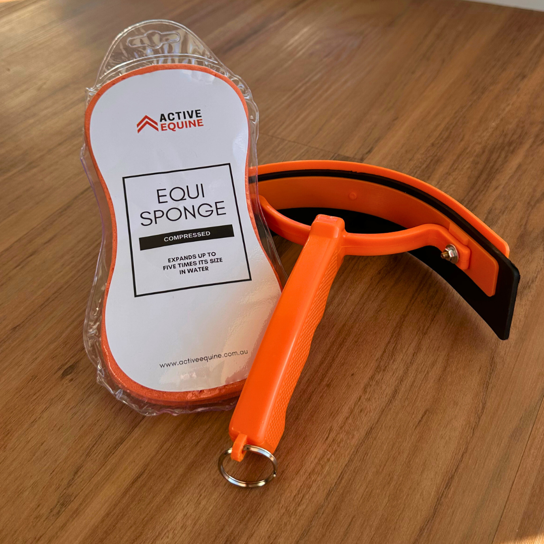 AE Wash Bay Essentials Kit – Active Equine