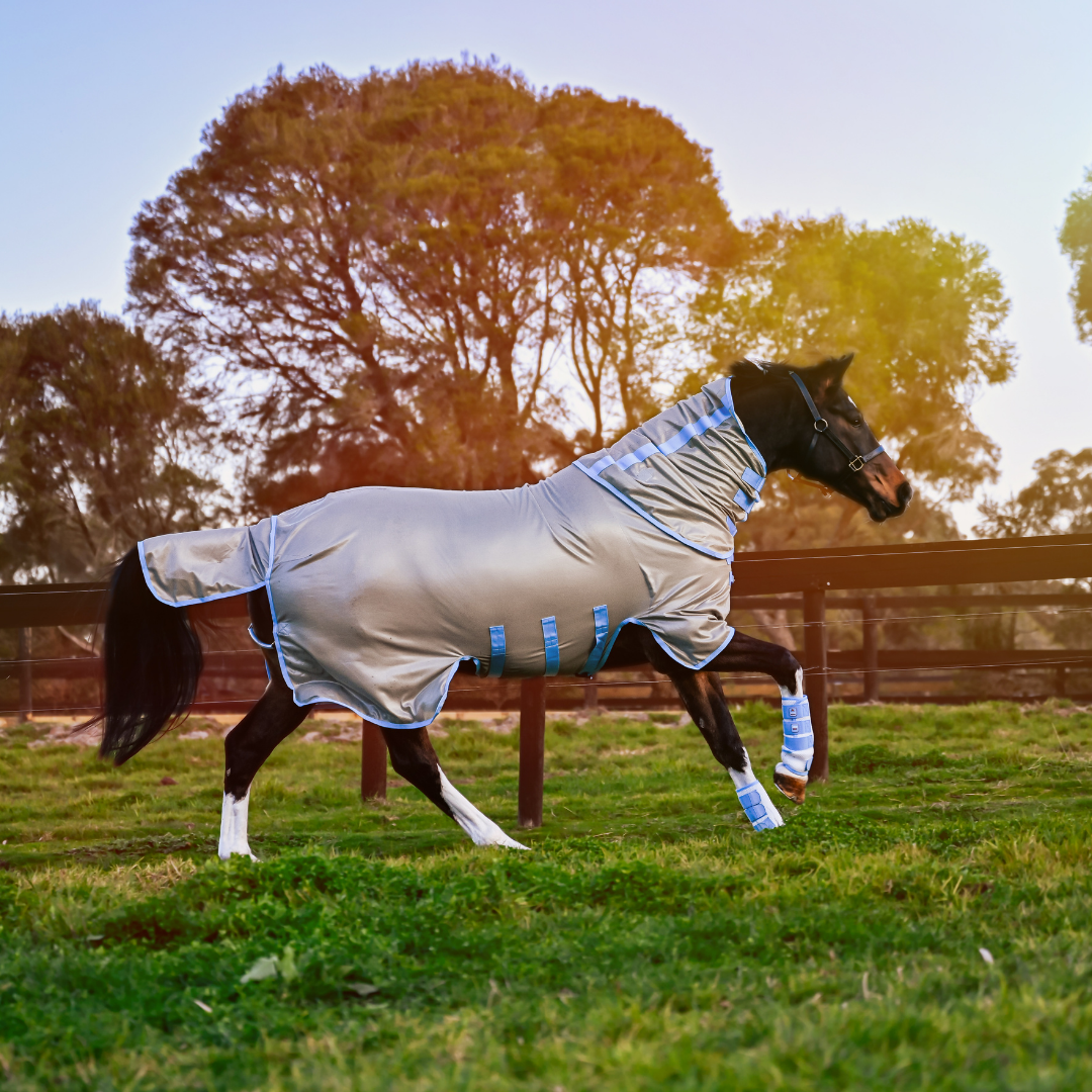 AeroMax Fly Rug with Belly Wrap – Active Equine