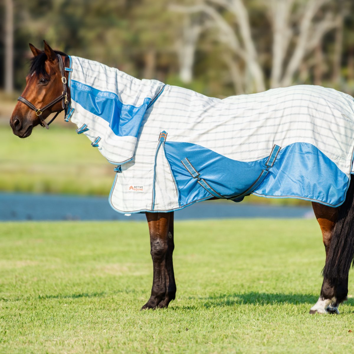 AE Deluxe Hybrid Combo – Active Equine