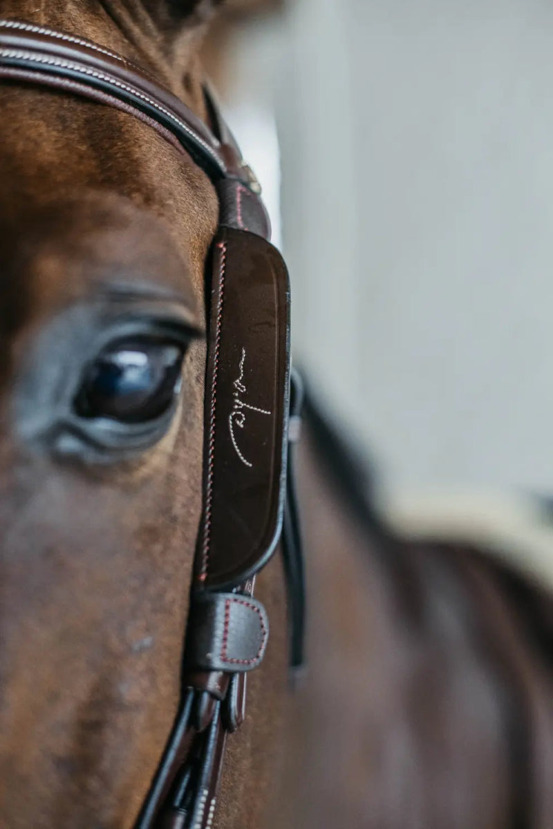 Blinkers with Fancy Stitching | Dyon – Active Equine
