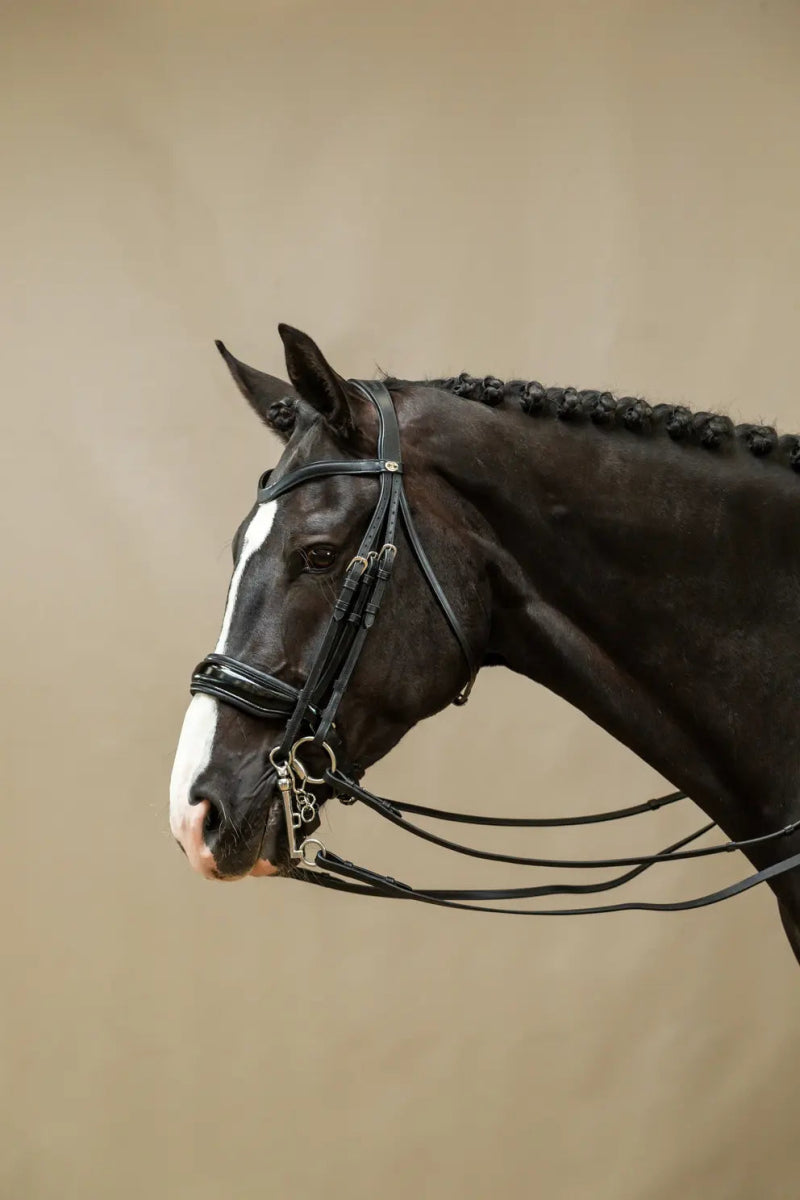 Patent Large Crank Noseband Double Bridle | Dyon | Working – Active Equine