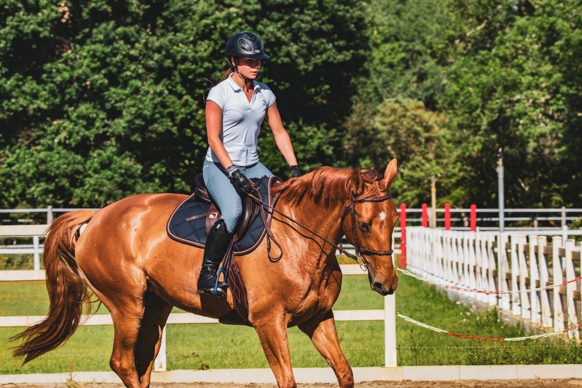 Horse Competition Preparation Checklist – Active Equine
