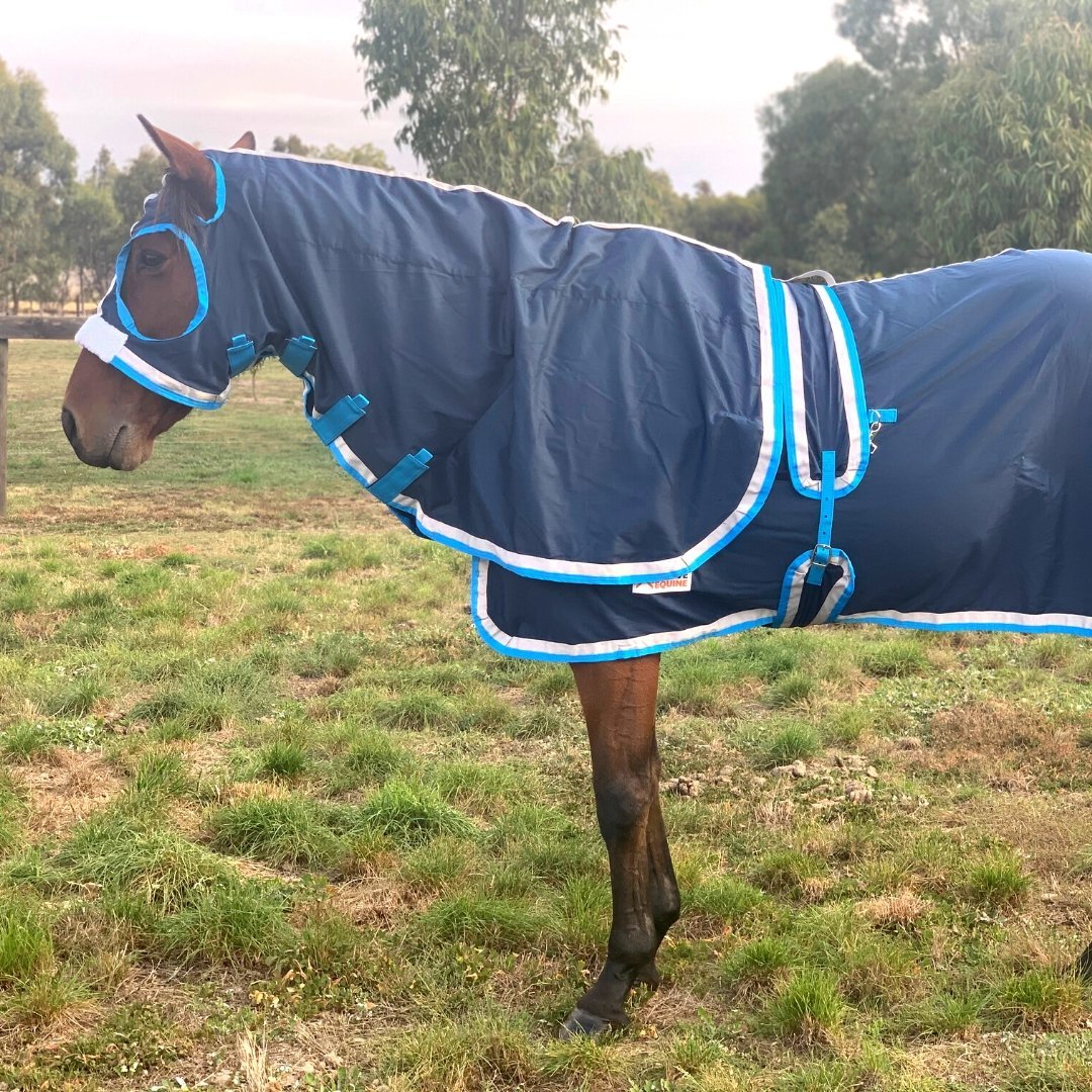 Horse Show Rug Sets are the best! Here's why! – Active Equine