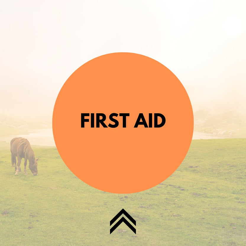 Horse First Aid – Active Equine