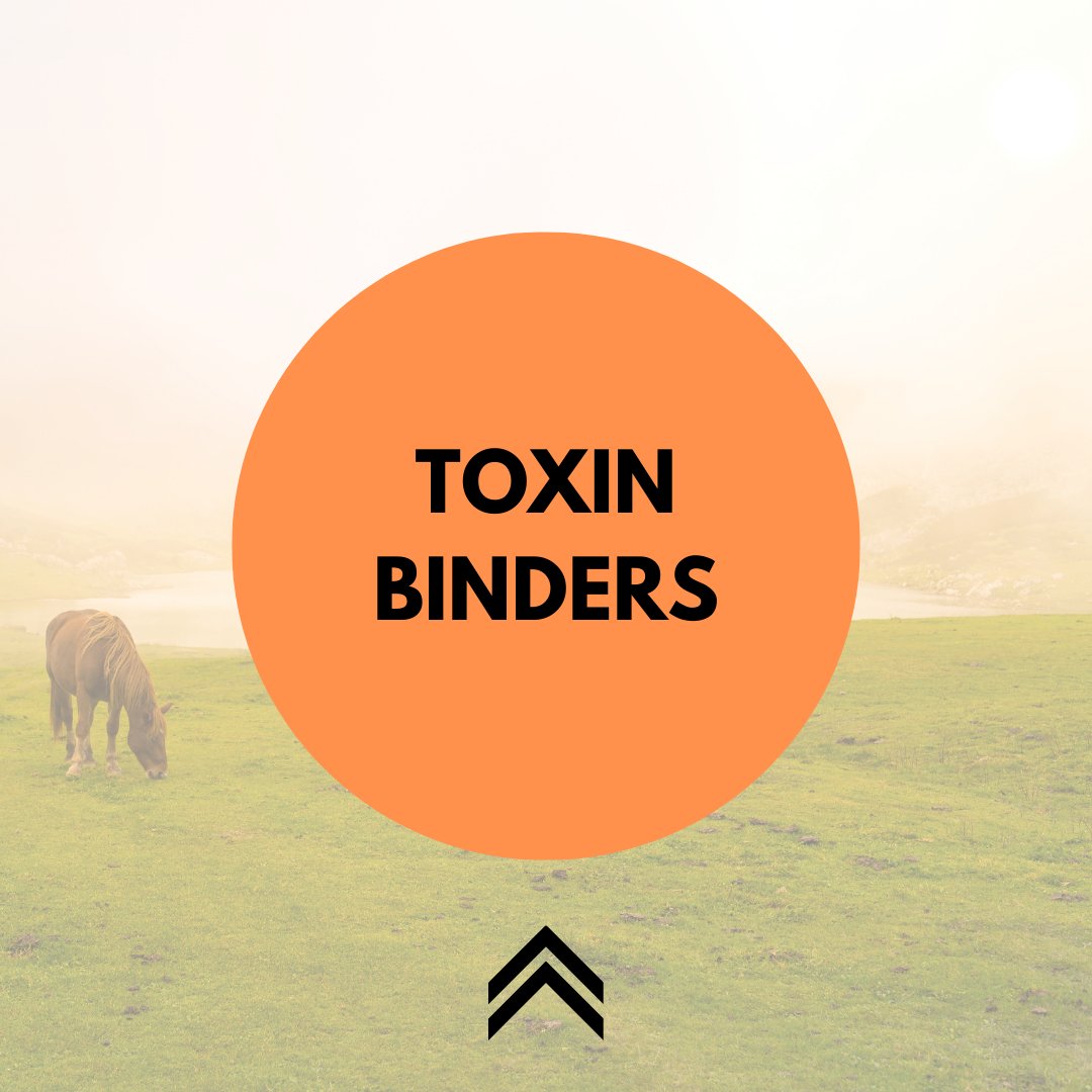 Toxin Binders – Active Equine