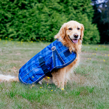 Horse Rug Storage Ideas | 6 Ideas For You – Active Equine