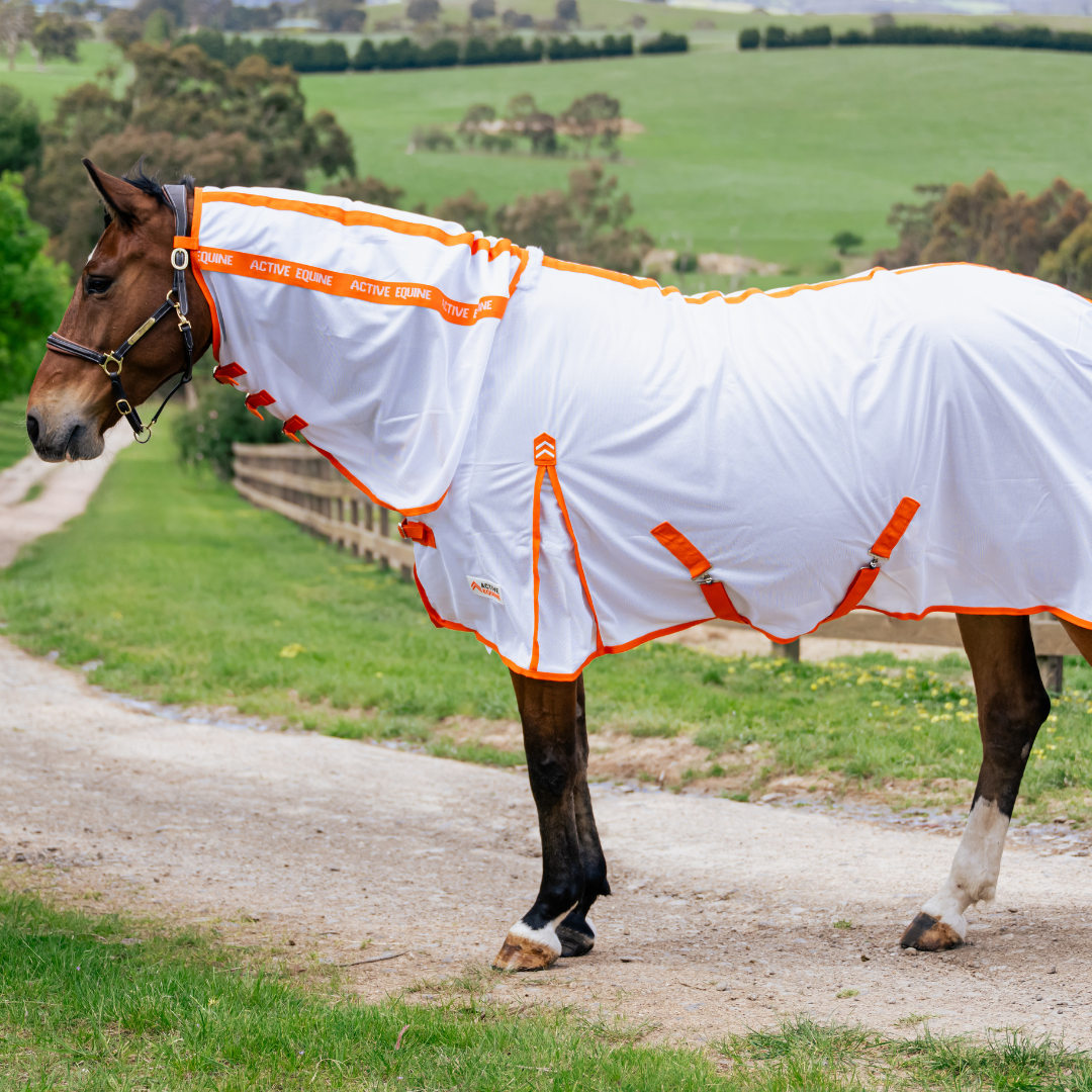 AE Deluxe Mesh Combo White – Active Equine
