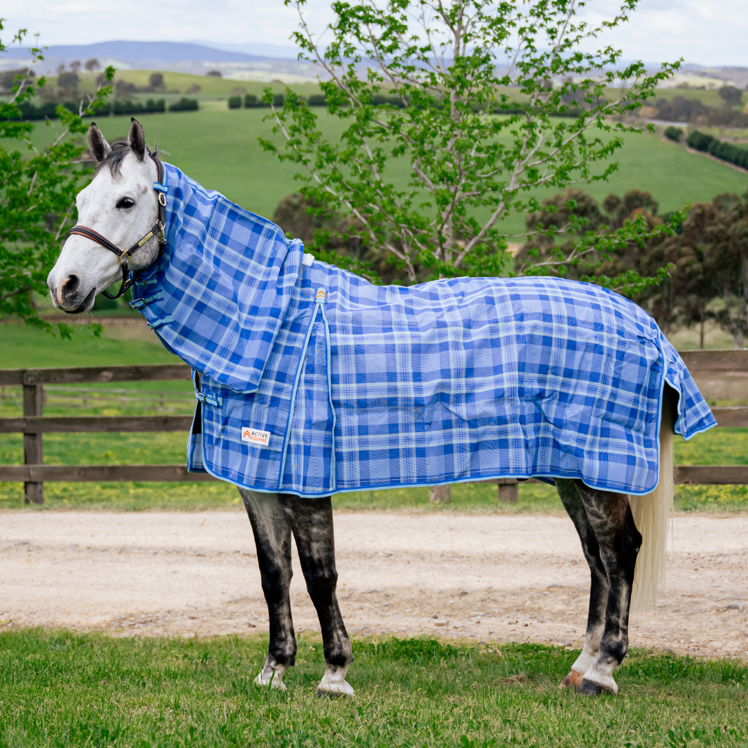 PVC Shade Mesh Combo Horse Rug – Active Equine