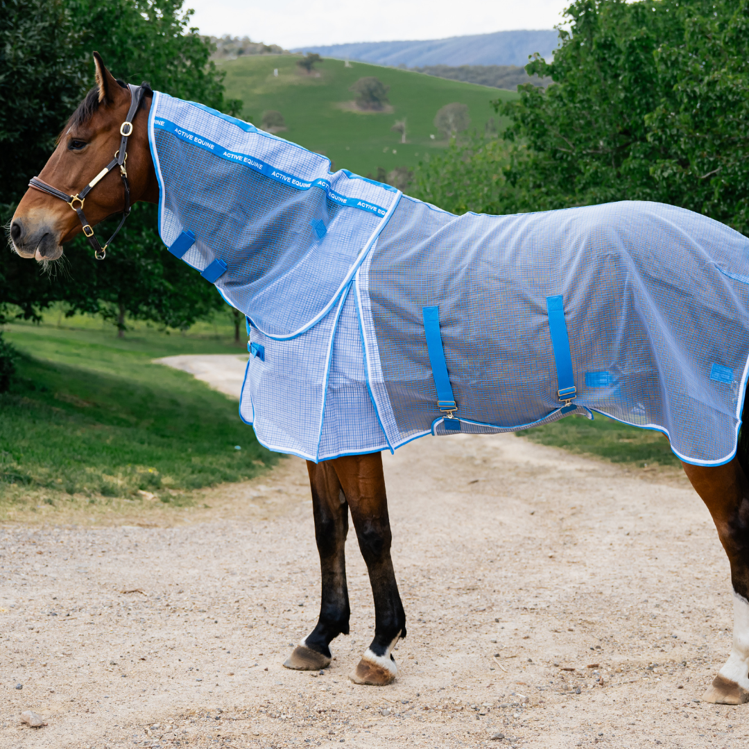 AE EnduraGuard Mesh Combo – Active Equine