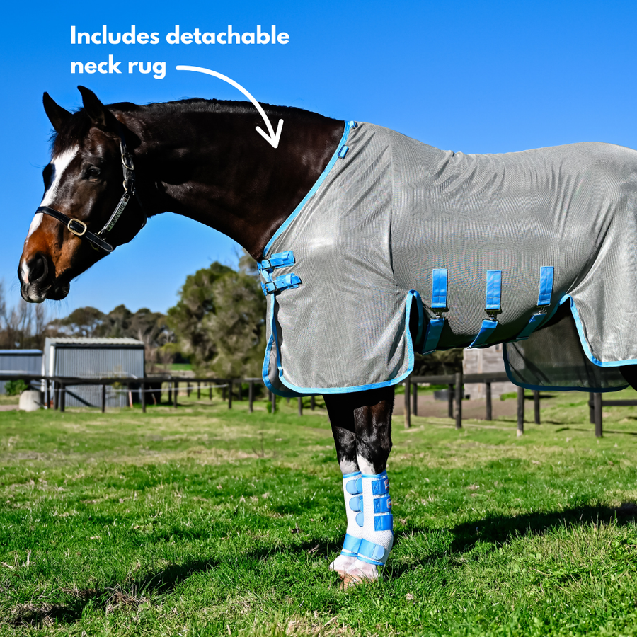 AeroMax Fly Rug with Belly Wrap – Active Equine