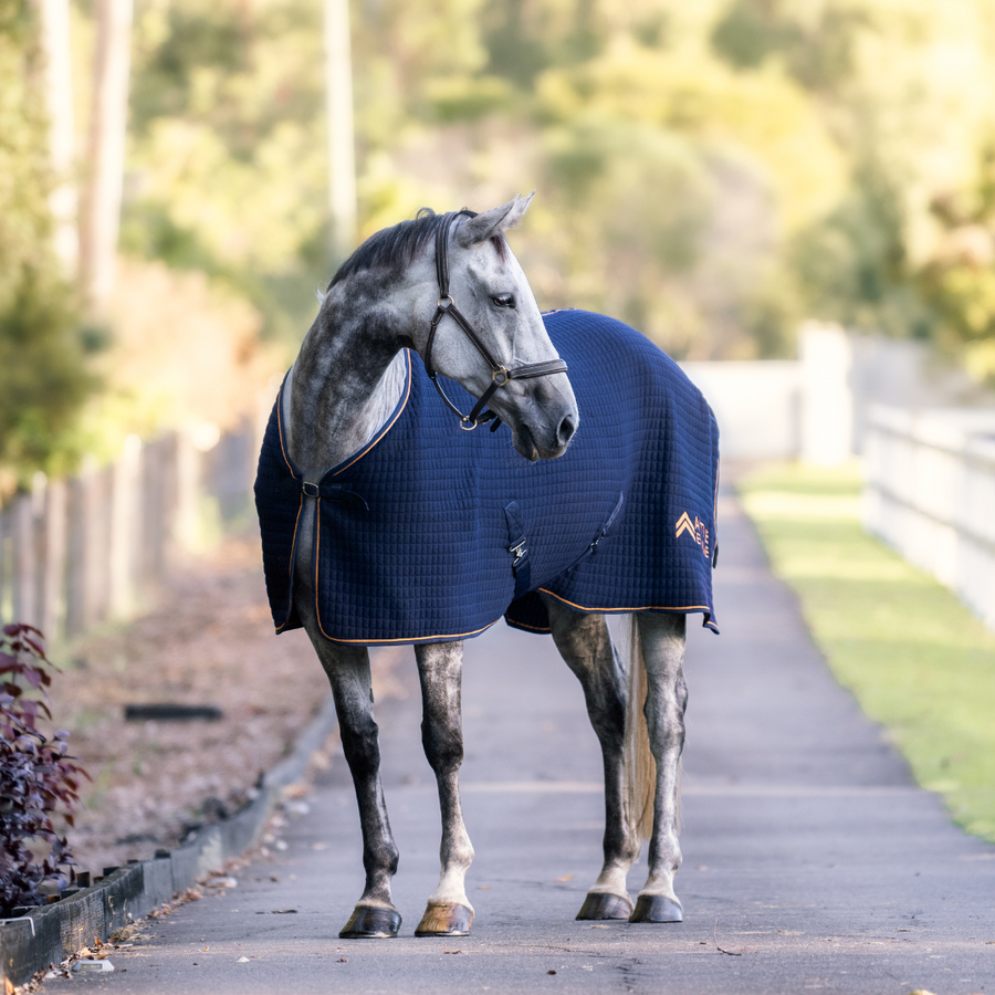 Rugging Horses In Australia | Active Equine