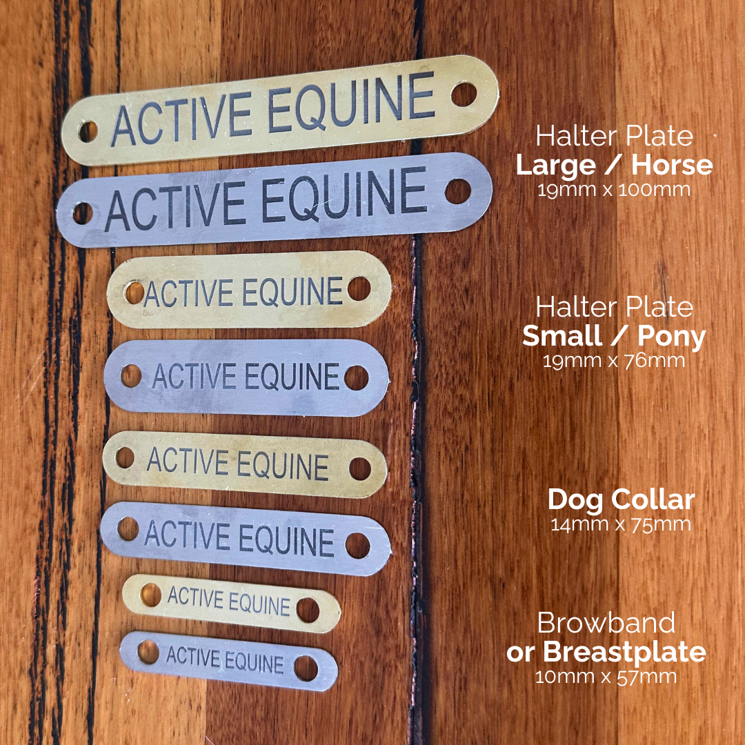 Engraved Halter Name Plate (large) – Active Equine
