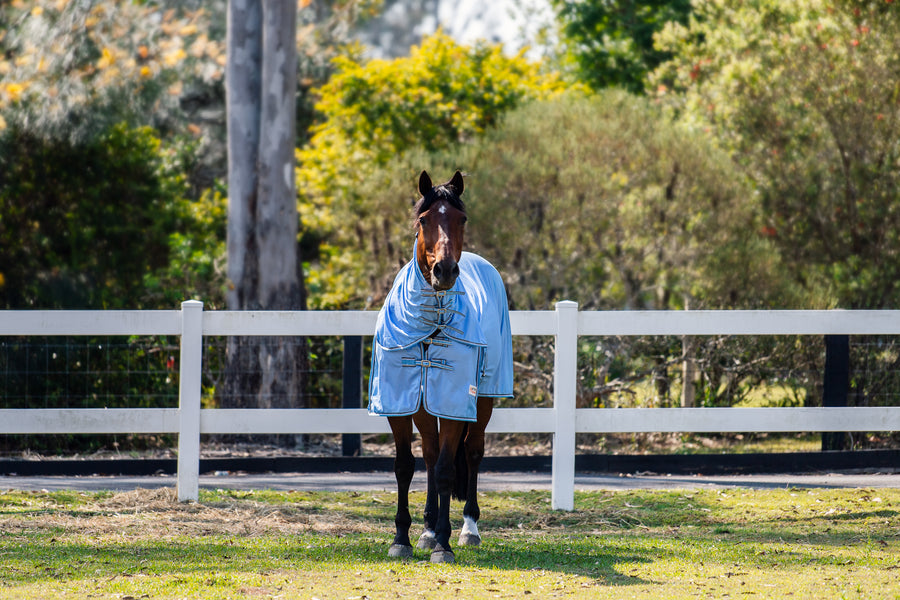 Rug Size Chart For Horses + BONUS Fit Tips – Active Equine