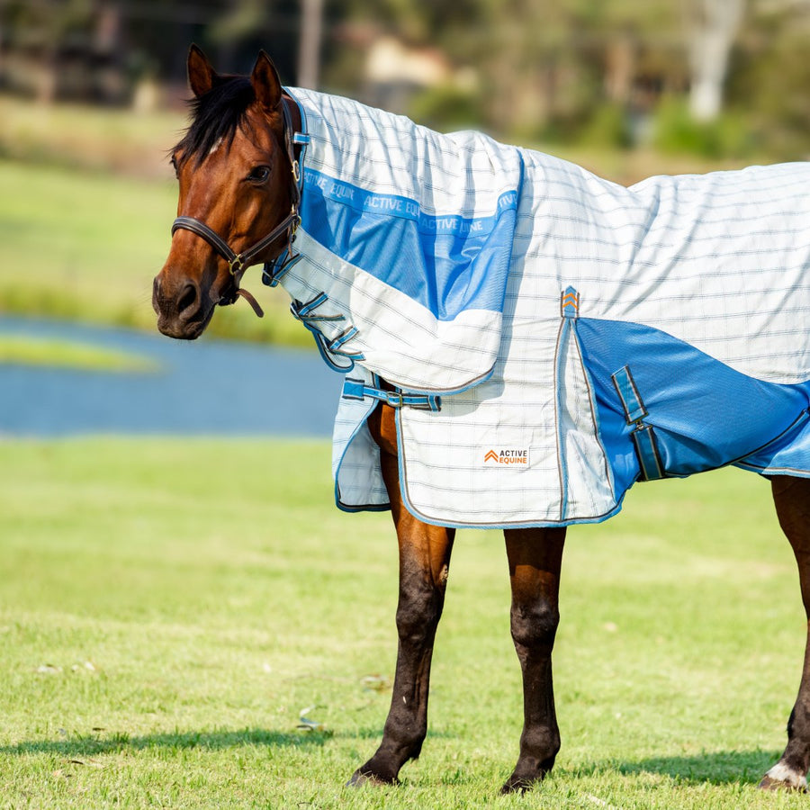 AE Deluxe Hybrid Combo – Active Equine