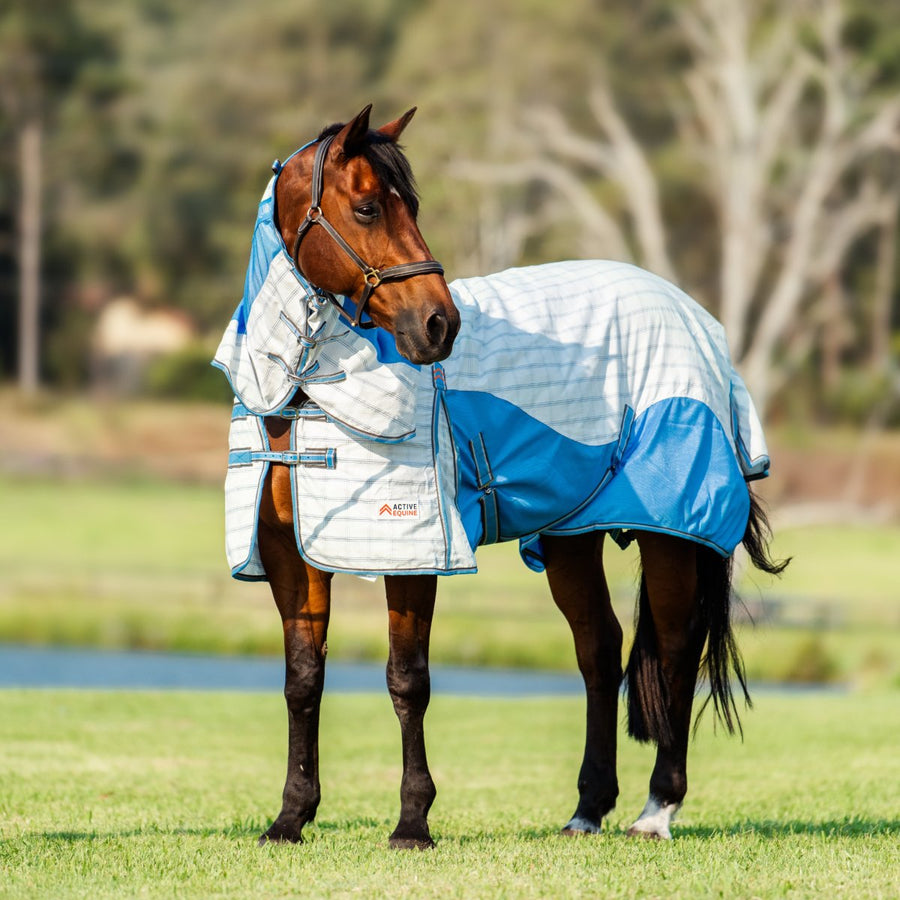 AE Deluxe Hybrid Combo – Active Equine
