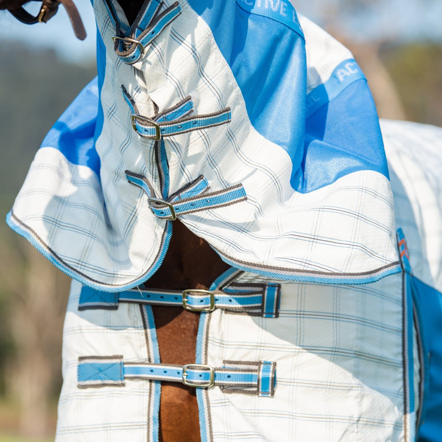 AE Deluxe Hybrid Combo – Active Equine