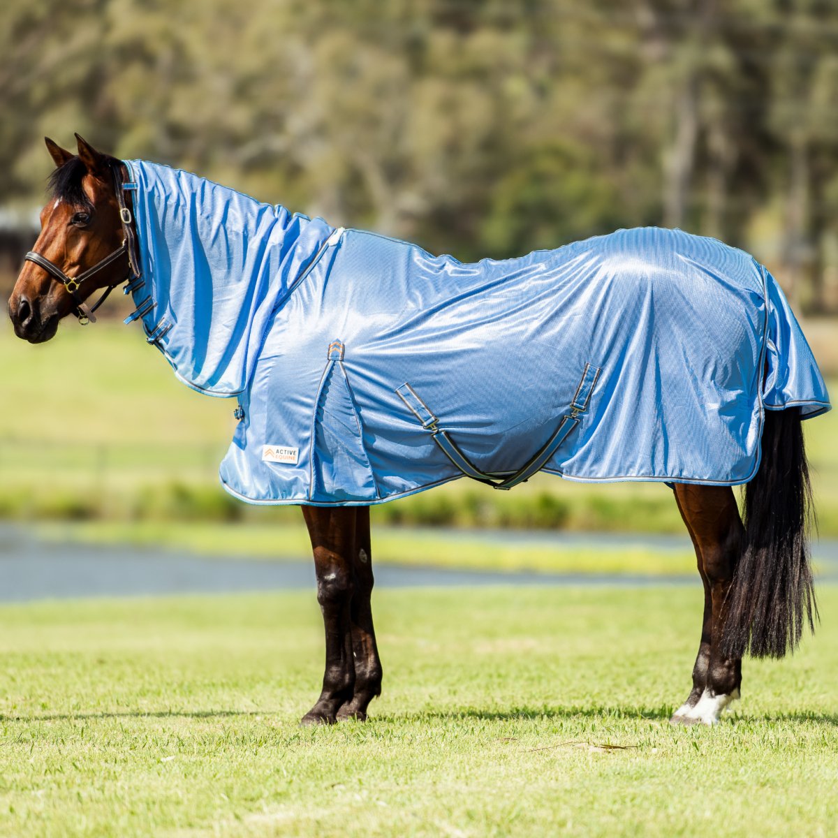 AE Deluxe Mesh Combo – Active Equine