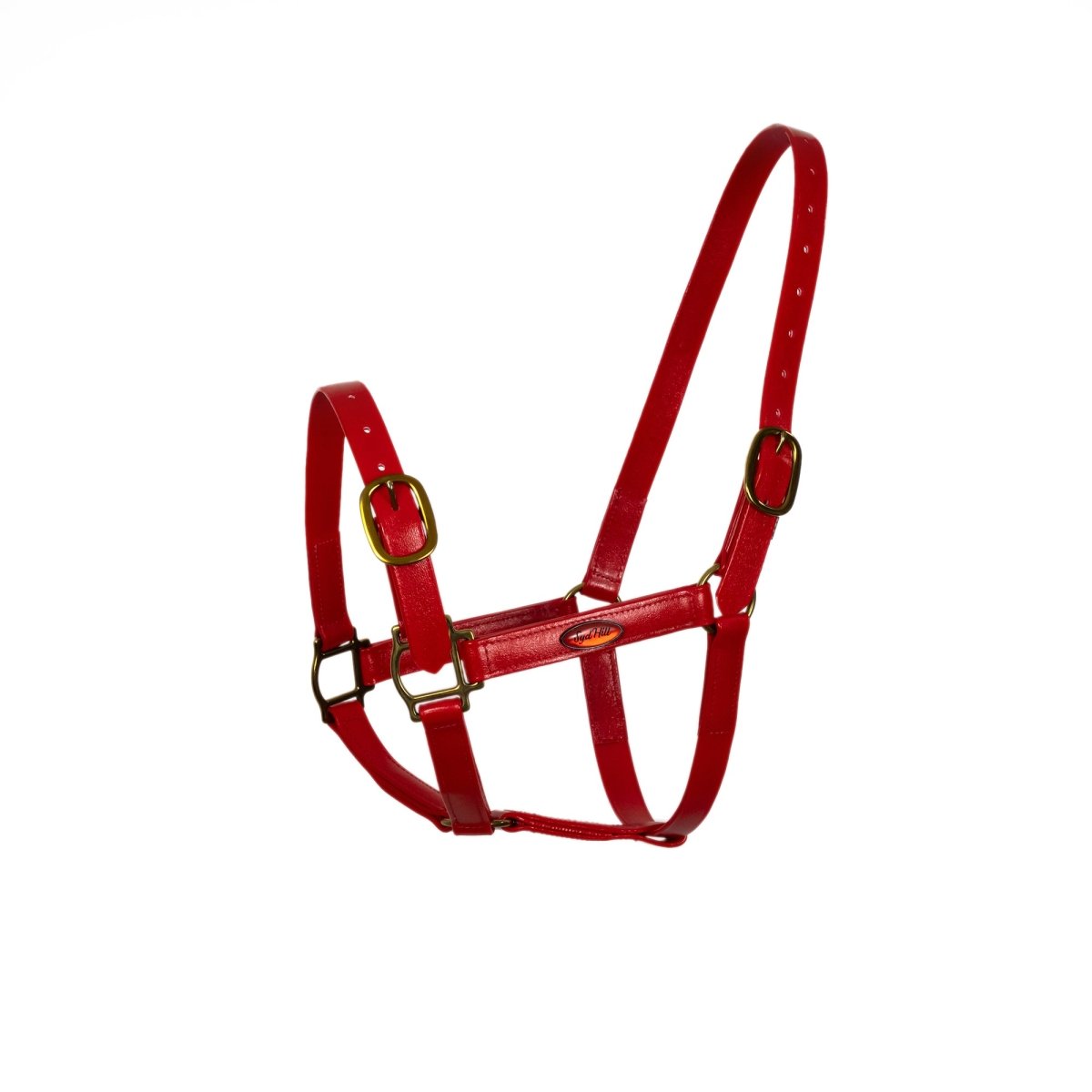 Syd Hill PVC Halter – Active Equine
