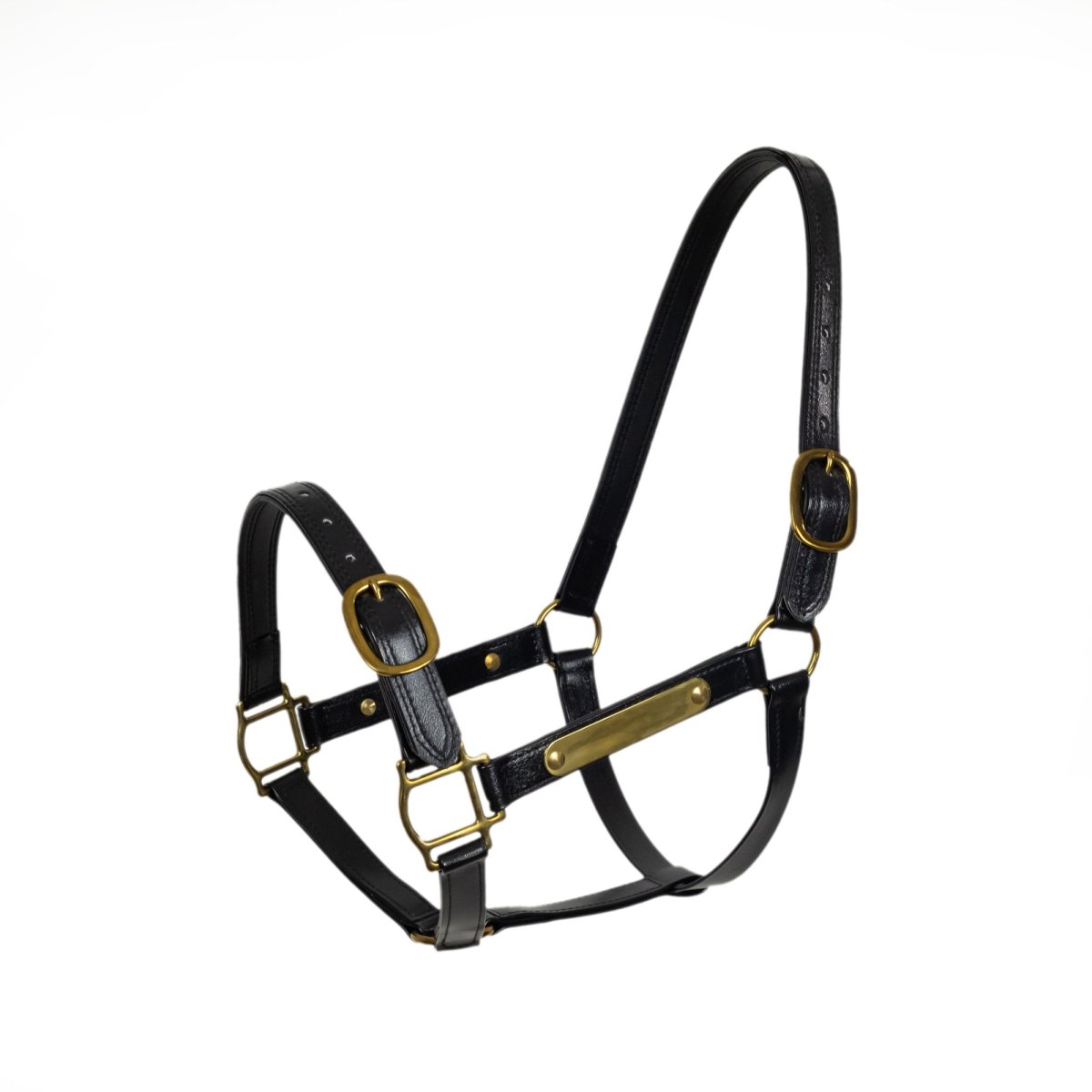 Syd Hill PVC Halter with Nameplate – Active Equine