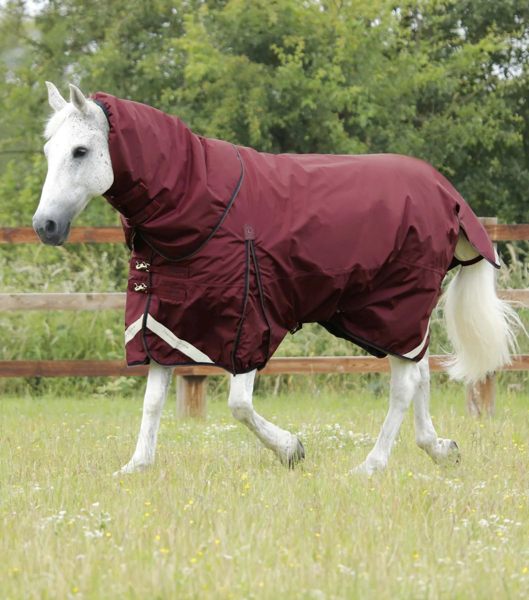 Buster 400g Turnout Rug with Snug-Fit Neck Cover | PEI – Active Equine