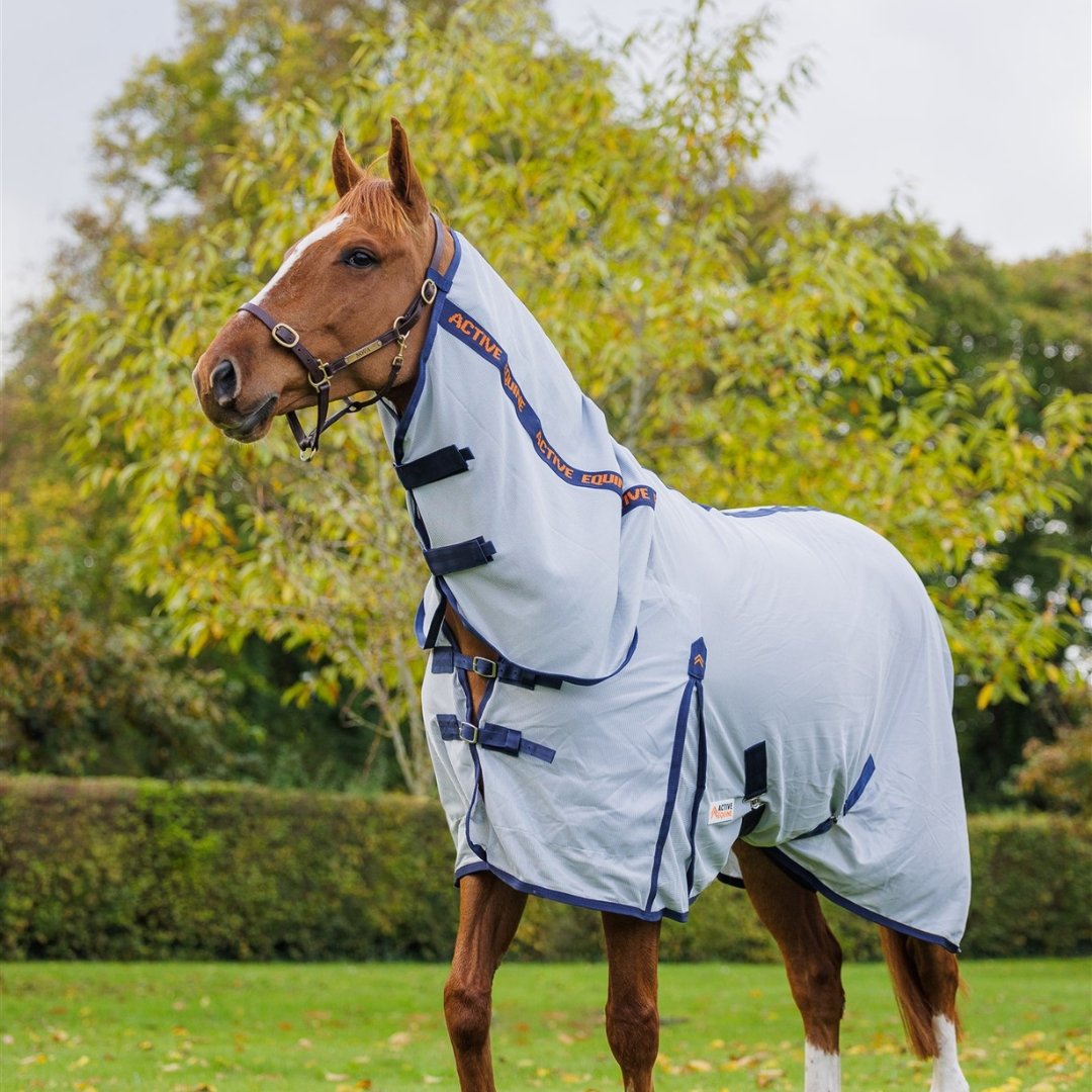 Mesh Combo Horse Rug 200gsm | Active Equine