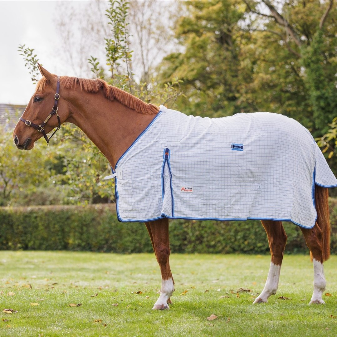 Horse Rugs | Ripstop Premium | Various Sizes – Active Equine